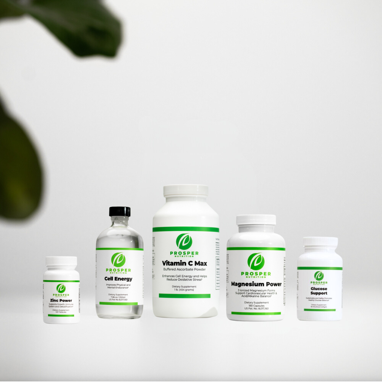 Glucose Balance Bundle - Prosper Nutrition